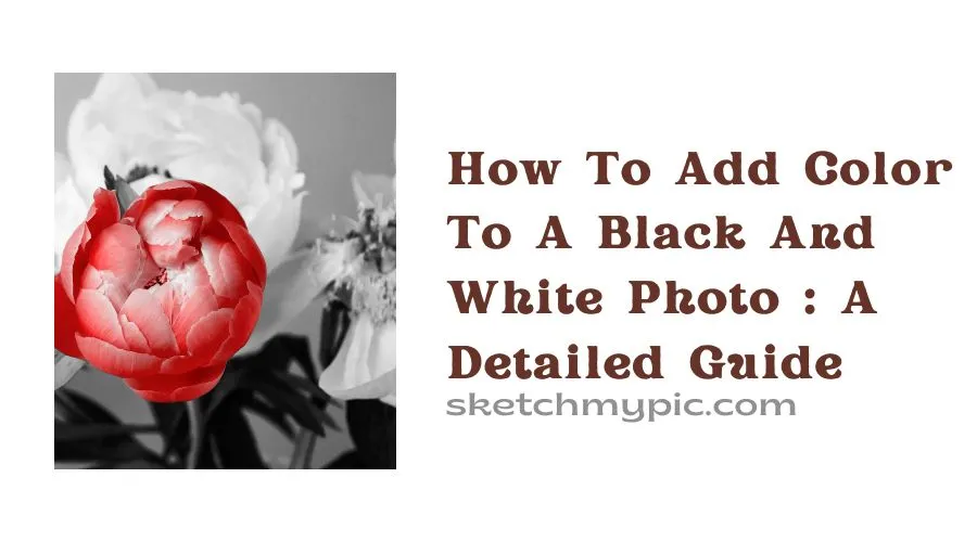sketchMyPic | How to Add Color to a Black and White Photo