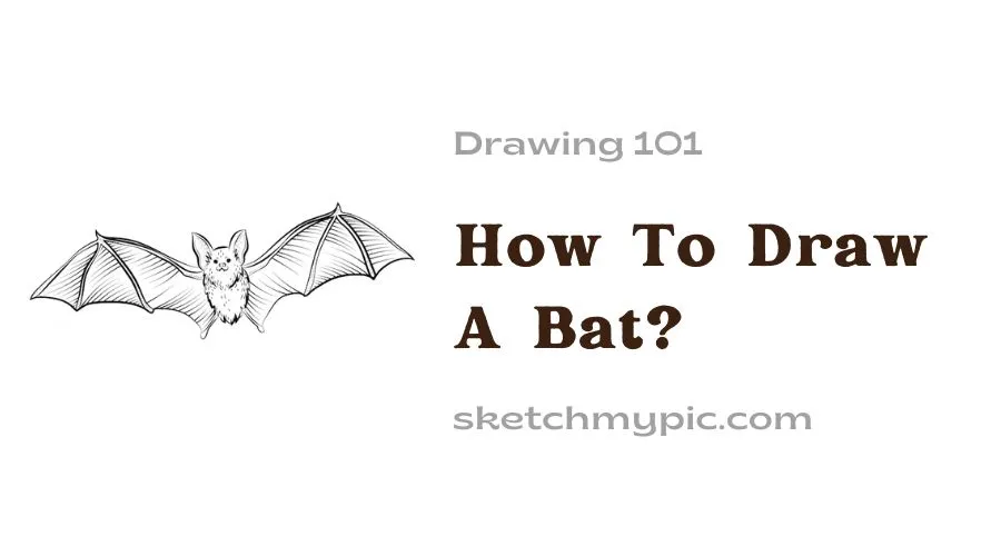 sketchMyPic | How to Draw a Bat