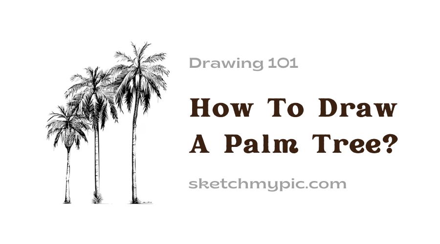 sketchMyPic | How to Draw a Palm Tree
