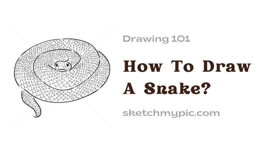sketchMyPic | How to Draw a Snake
