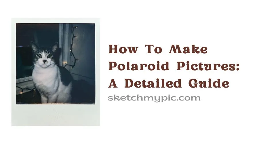 sketchMyPic | How To Make Polaroid Pictures: A detailed guide