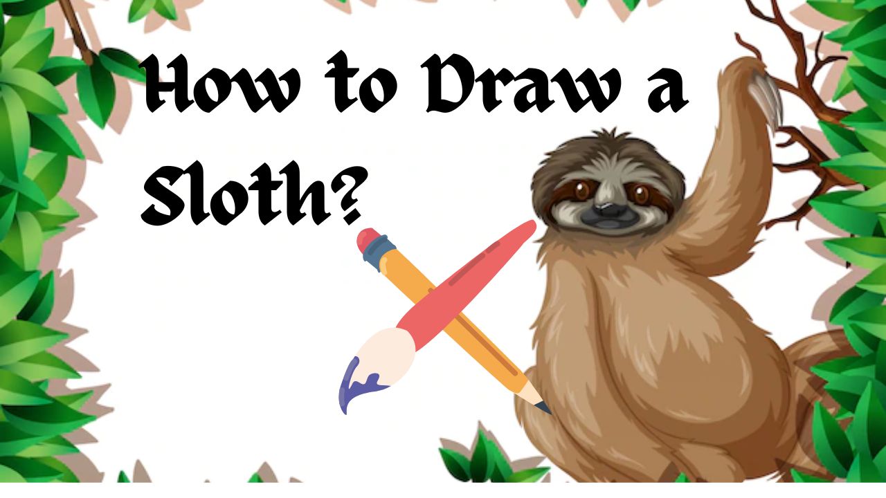 sketchMyPic | How to Draw a Sloth?