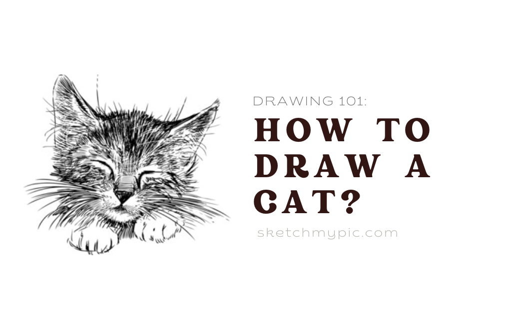 sketchMyPic | Drawing 101: How to draw a Cat?